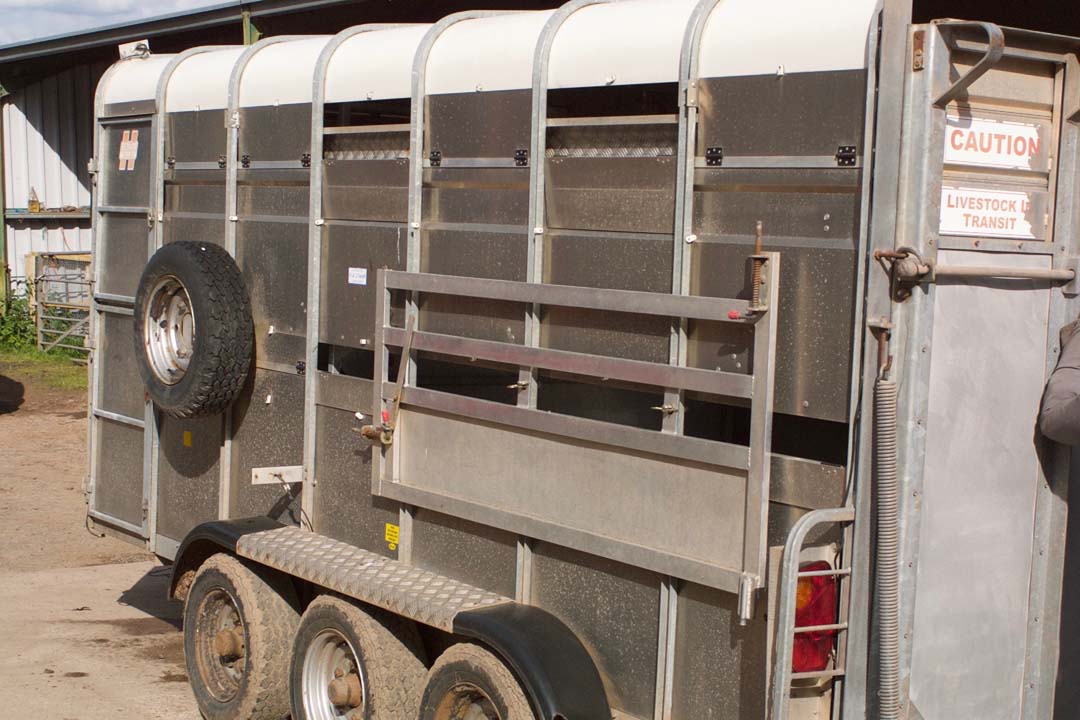 For Sale - Hudson 14ft Tri-Axle Livestock Trailer